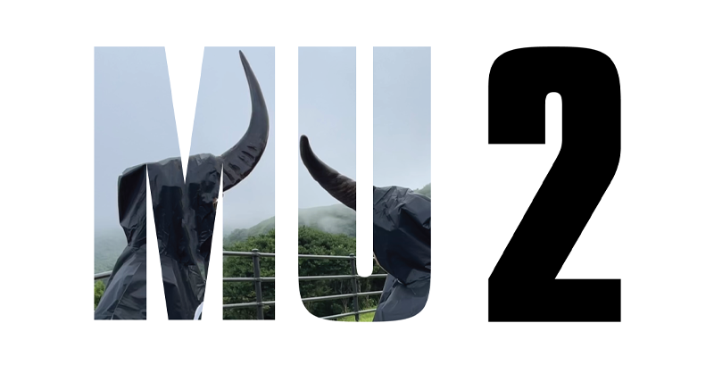 The Klf Mu 2